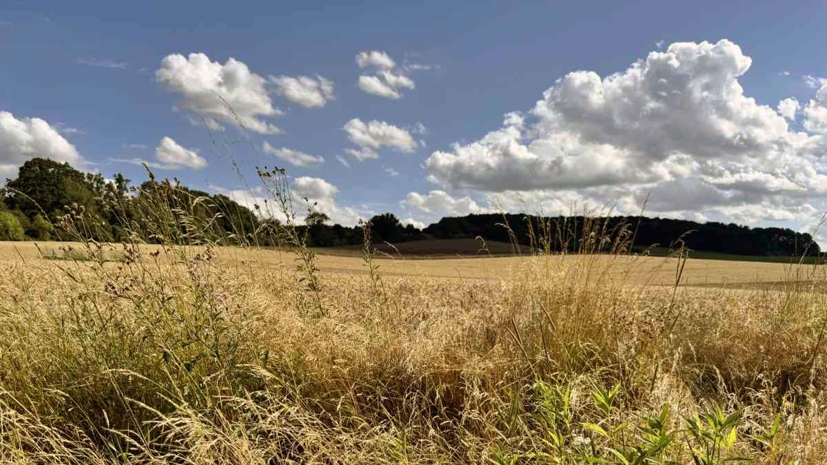 Příběh ≠ manipulace – jak najít ten pravý | MADIO